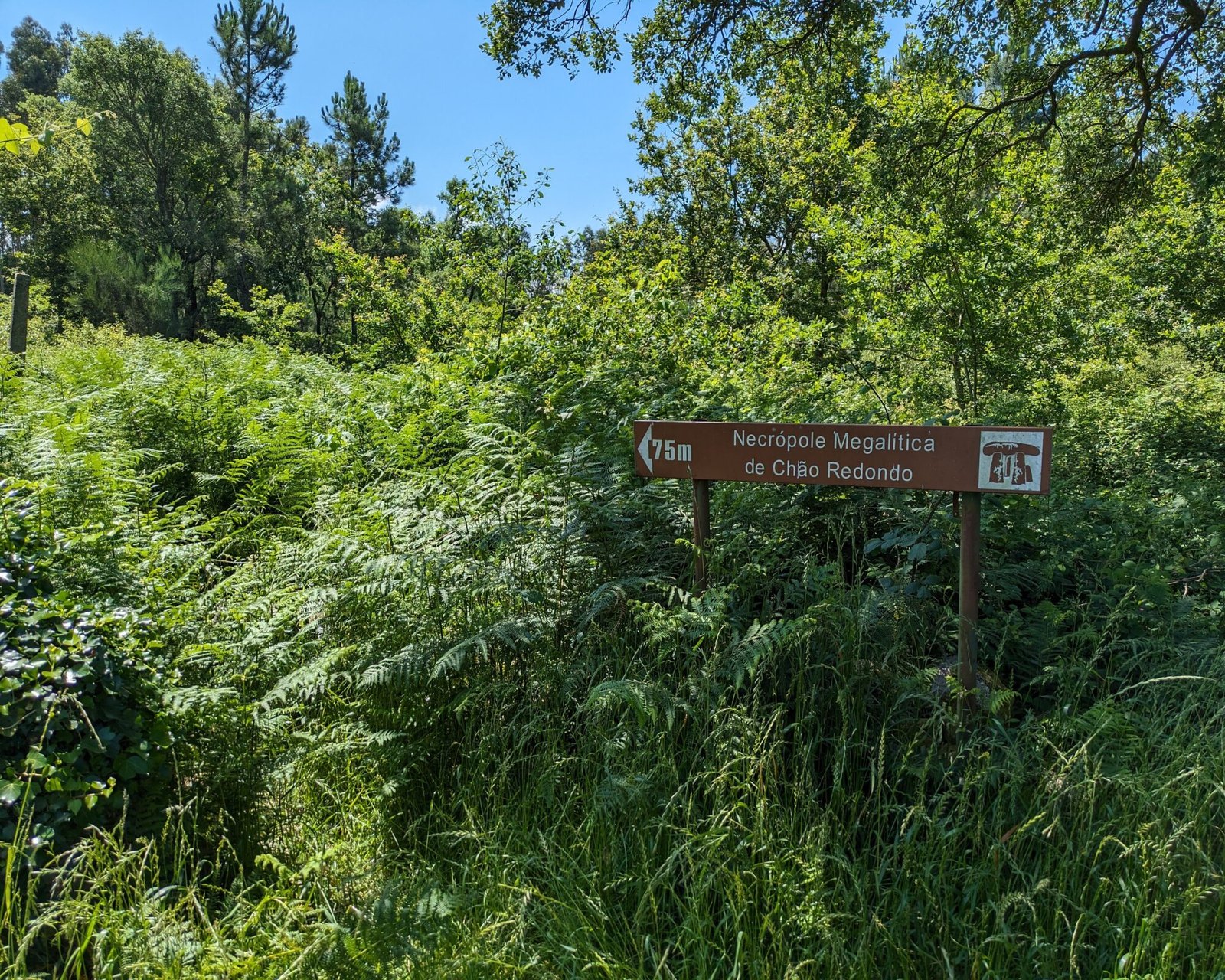 Necrópole Megalítica de Chão Redondo - Prehistoric Portugal